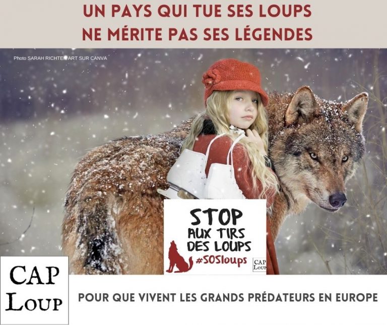 Campagne – Pour que vivent les grands prédateurs en Europe | CAP Loup